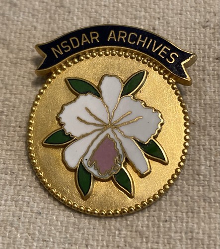 Daughters of the American Revolution Pin NSDAR Archives DAR | eBay