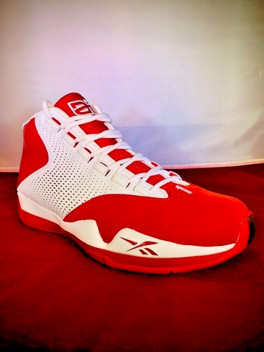 Size 10 - Reebok Answer 12 Invictus (2008) | eBay