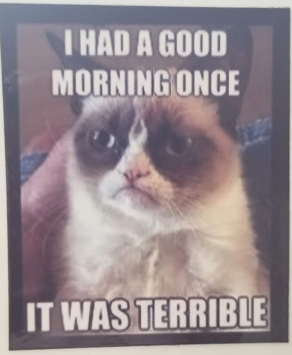 Grumpy Cat Good Morning Meme