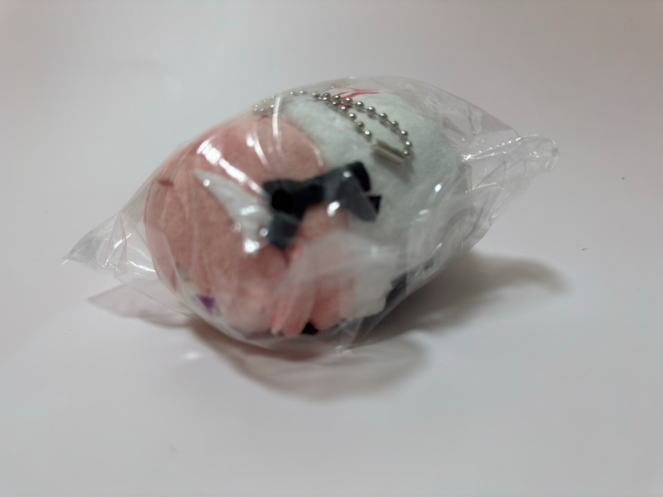 Fate/Grand Order FGO Astolfo Mochimochi Mascot Plush Keychain vol. 13 ...