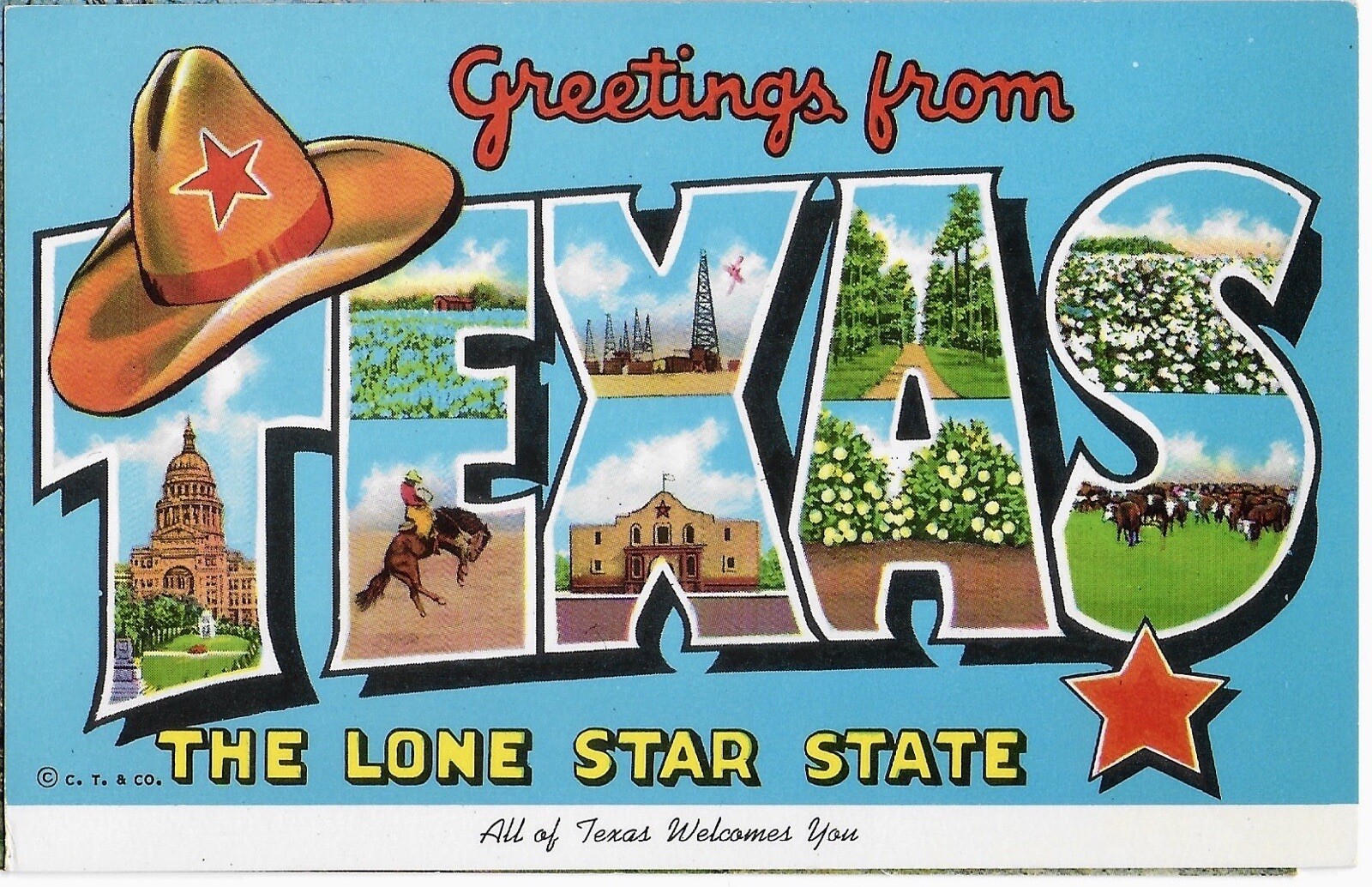 Postcard TX Texas, Large Letter Greetings from Texas, The Lone Star ...