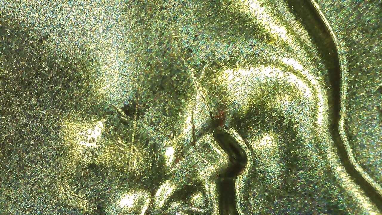 2023 D Quarter Uncirculated EDITH KANAKA 'OLE ERROR COIN Die Cracks and ...