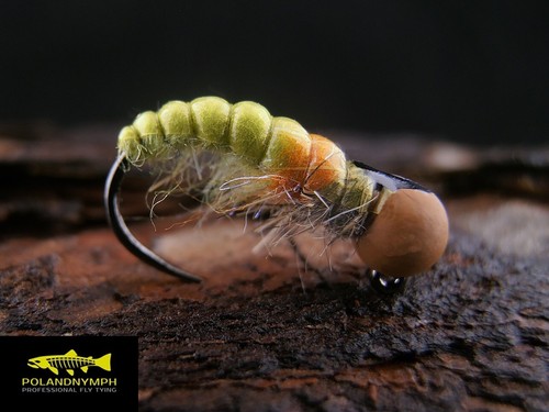 New 10 Hydropsyche Larva Euro Nymphs Hooks size 14 Tungsten Heads 3,5 ...