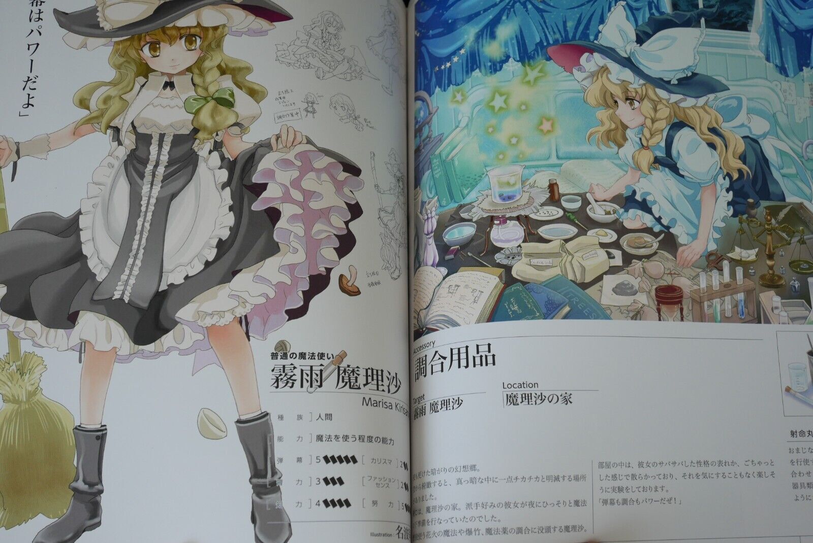 Touhou Prpject Tribute Arts 4: Toho Gensou Gahou 4 (Art Book) - from ...