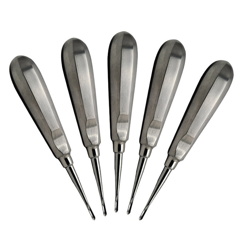 Dental Straight Spade Root Elevator Steel Extracting Luxating Apical ...