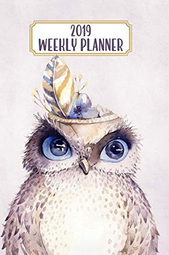2019 WEEKLY PLANNER: WATERCOLOR OWL CALENDAR PLANNER, WEEK By Pixel ...