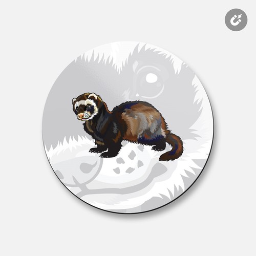 Ferret Animal | 4'' X 4'' Round Decorative Magnet | eBay