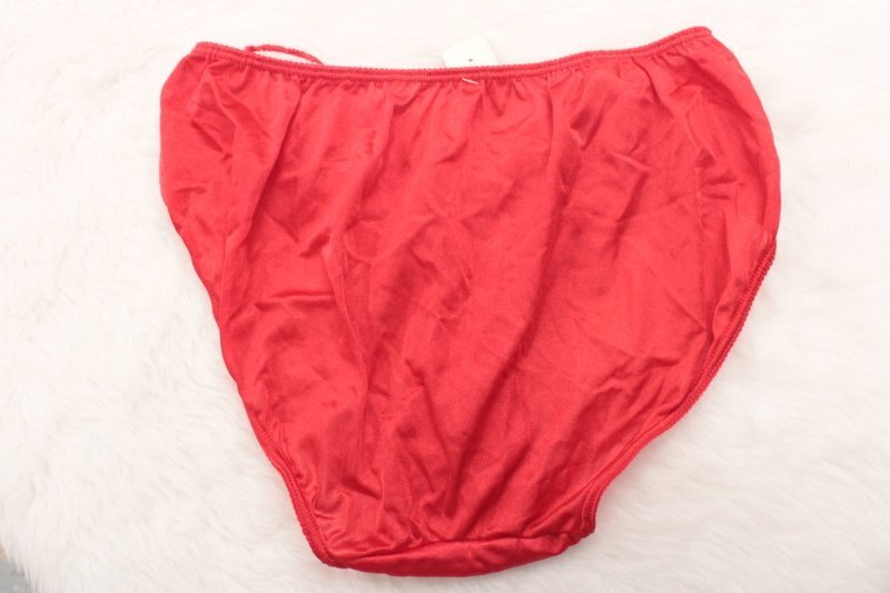 Vintage New Bikini Panties Red Nylon Sheer Butterfly Front Solid Back 7 ...