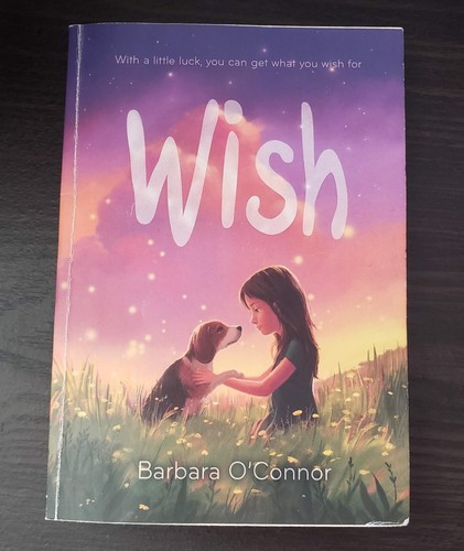 Wish by Barbara O'Connor (2017, Trade Paperback) book 9781250144058| eBay
