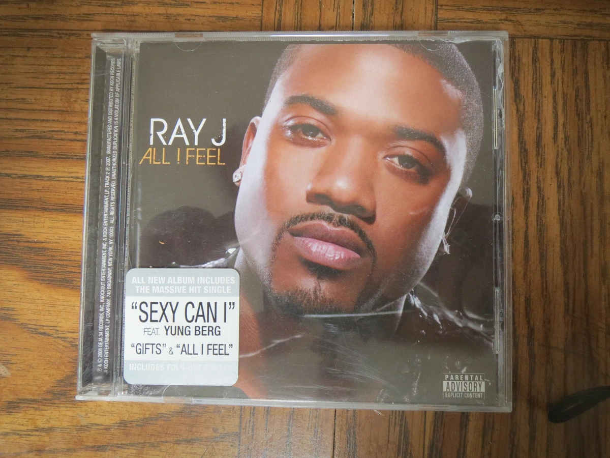 Ray J I Hit It First Album Cover