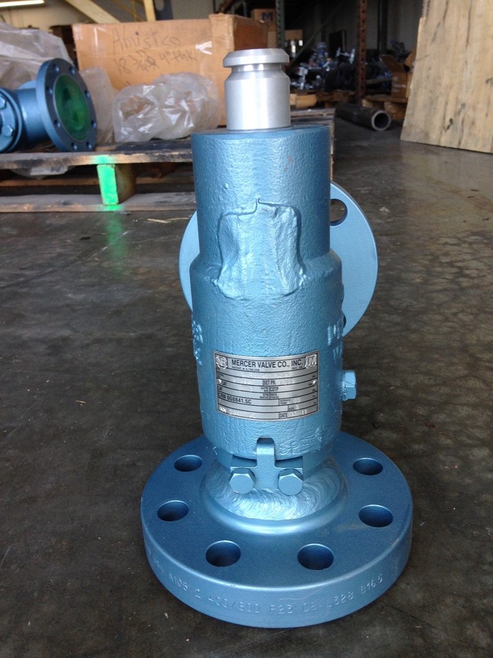 Mercer Relief Valve 91-44G31T25C1 | eBay