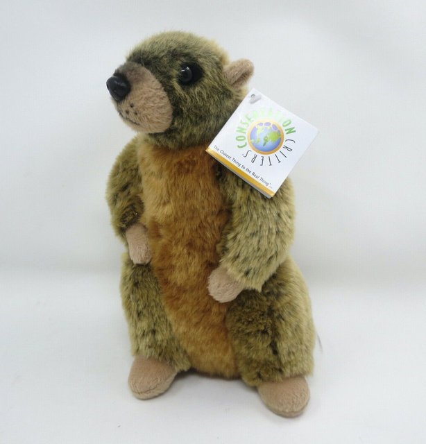 Marmot Groundhog Woodchuck Stuffed Animal Plush Yellow Bellied for sale ...