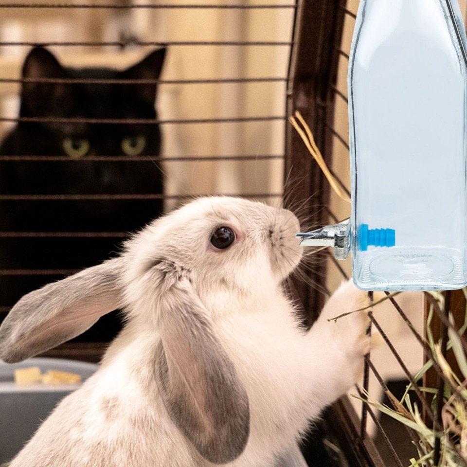 Rabbit Water Bottles for Cage Small Animal Rabbits Pet Dispenser | eBay ...