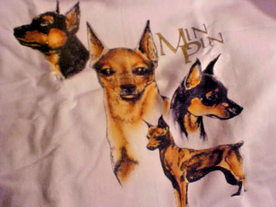 Hanes - Min Pin Miniature Pinscher Hand Painted Sweatshirt New 3XL ...