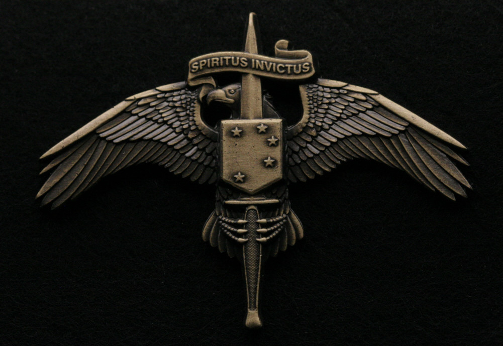 MARSOC US Marine Corps Forces Special Operations Command Badge PIN ...