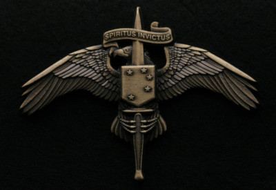 MINI MARSOC US Marine Corps Forces Special Operations Command PIN ...