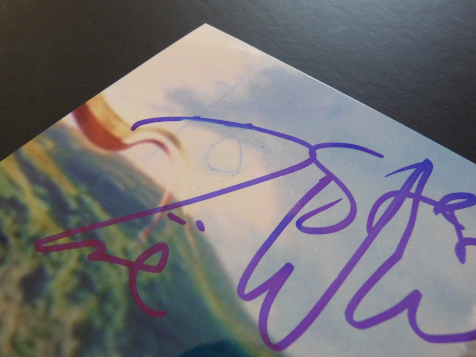 Zoë Wanamaker Harry Potter Autographed Signed 8x10 Photo Beckett ...