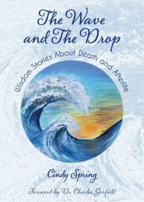 Cindy Spring The Wave and The Drop (Poche) | eBay