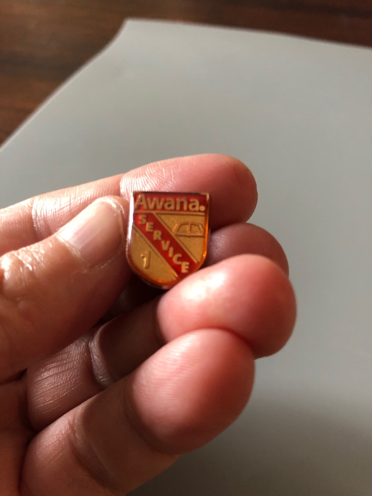 Vintage Awana 1 Year Service Pin | eBay