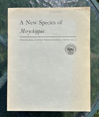 A New Species of Merychippus Mammal Fossil Book READ DESC Paperback | eBay