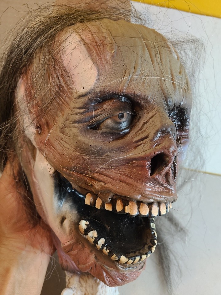 Distortions skull Prop Halloween Head Puppet Skeleton Pirate 3C15 Fresh ...