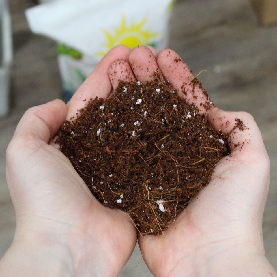 Coco Peat Perlite Potting Mix, Loose Coconut Coir and Perlite for ...