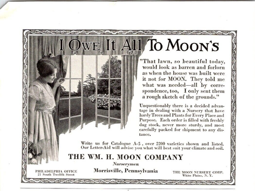 Antique Ad Moon Meehan Woolflower Gardening Seeds Lawn Dim-A-Lite 2/ ...