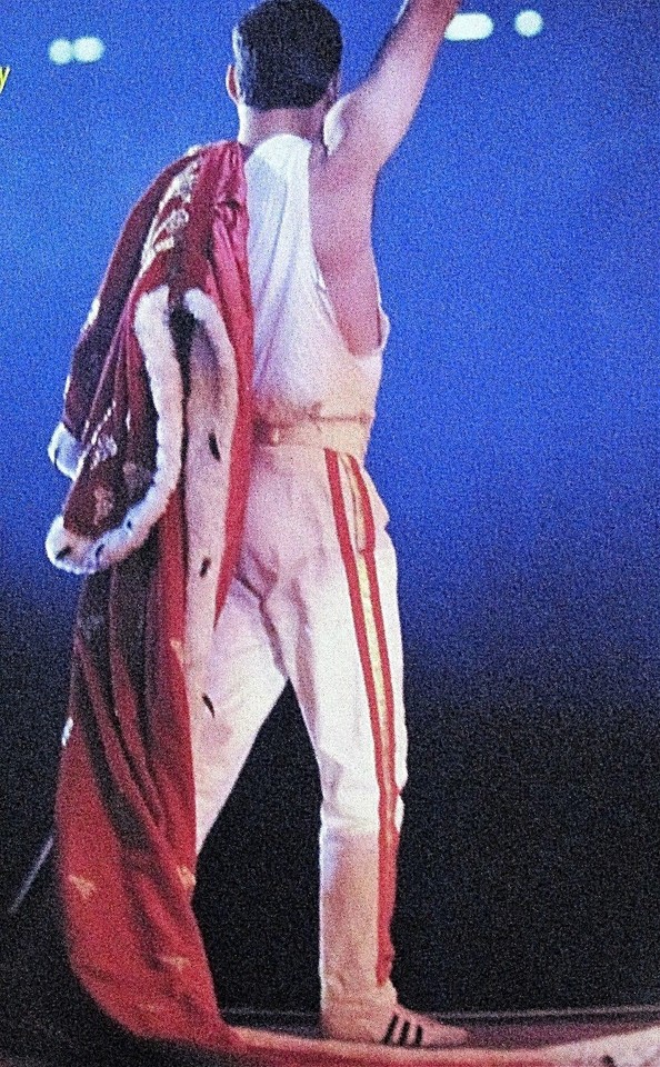 Freddie Mercury Queen ,Tribute Concert 3 DVD Guns N Roses Metallic ...