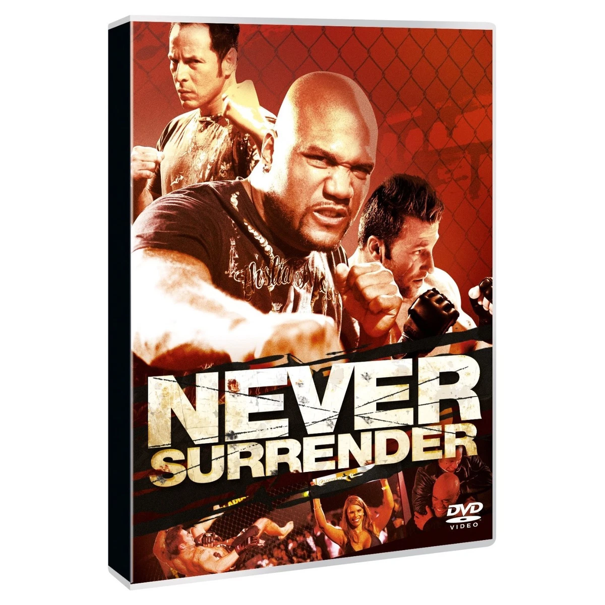 Never Surrender 2009