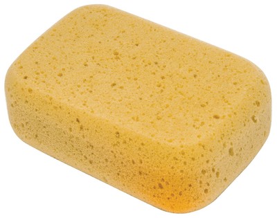 Synthetic Body Sponge | eBay
