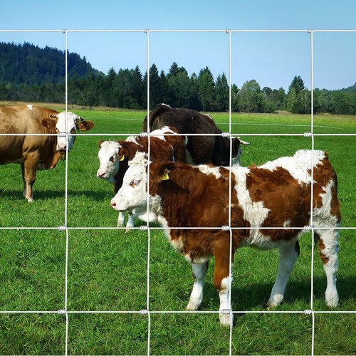 Farm Fence Cattle Fence Filed Fence 4ft*164ft Deer Fence Goat Fence ...