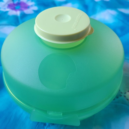 Tupperware Round Keeper Sandwich Lunch Burger Bagel Torta Waffle ...