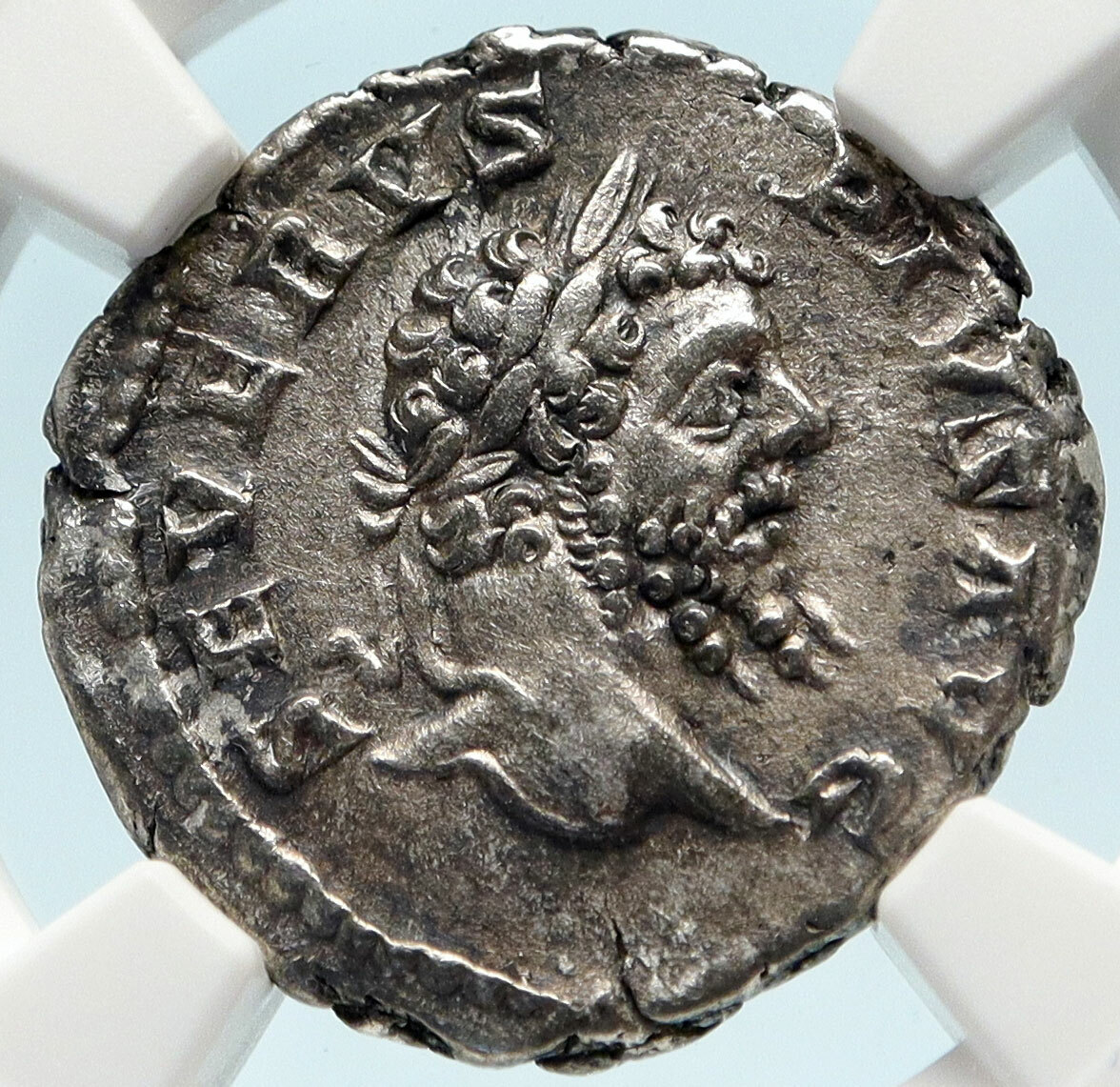 SEPTIMIUS SEVERUS Authentic Ancient 207AD Silver Roman Coin AFRICA NGC ...