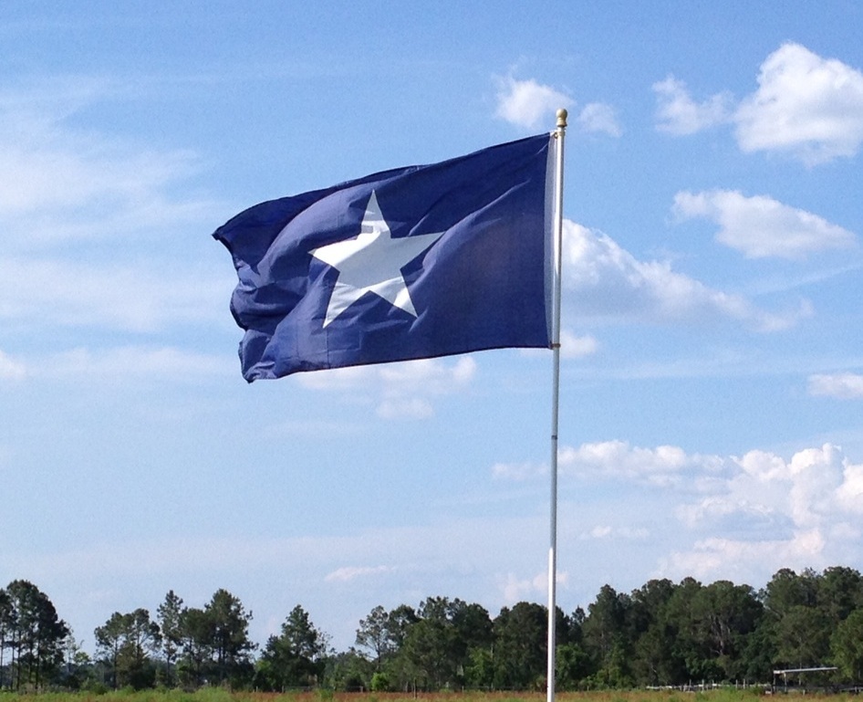3x5 ft BONNIE BLUE Confederate Civil War Flag CSA Lightweight Print ...