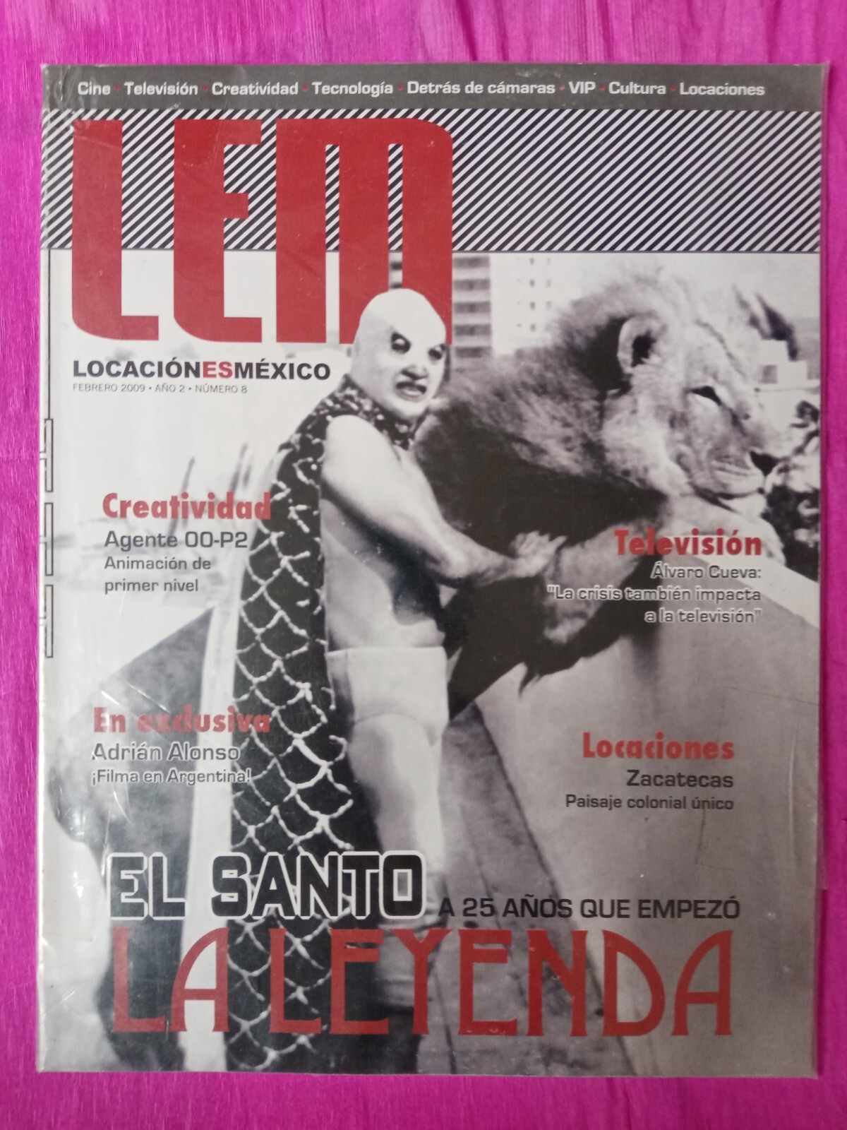 EL SANTO LUCHADOR LUCHA LIBRE LEM MEXICAN MAGAZINE FEBRUARY 2009 | eBay
