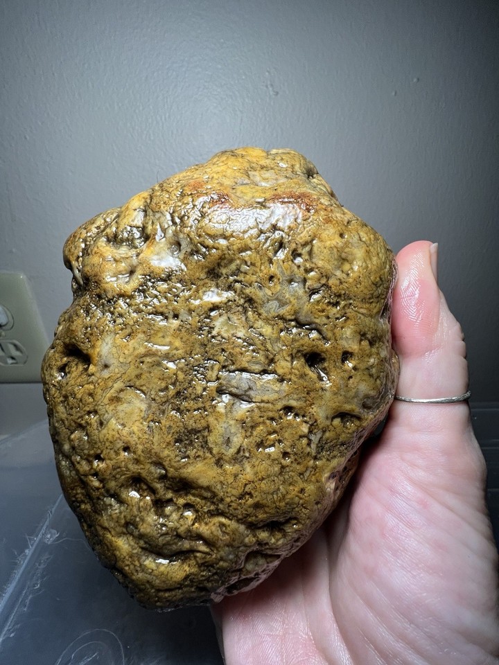 4lb .9oz Lake Superior Cold Water Agate Large Rough Display Specimen ...