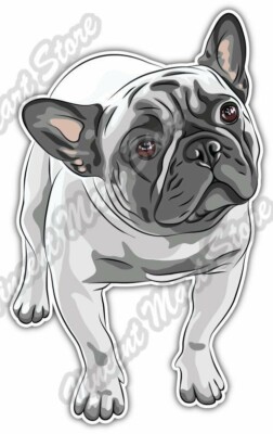 Cute Fawn French Bulldog Dog Breed Pet Car Bumper Vinyl Sticker Decal 3 ...