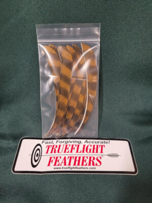 Trueflight Feathers 5 inch Parabolic Right Wing Brown Barred Dozen pack ...