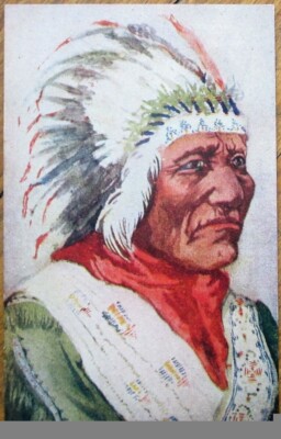 Native American 1910 Postcard: Chief Geronimo - Full Headdress - Indian ...