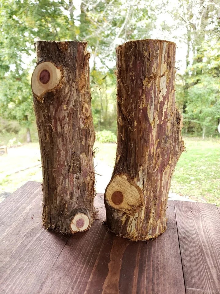 Eastern Red Cedar Logs Wood Crafts Live Edge Carving DIY 10"- 12" Logs ...