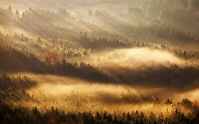 Landscape nature mist fall forest sun rays trees Custom Gaming Mat Desk ...