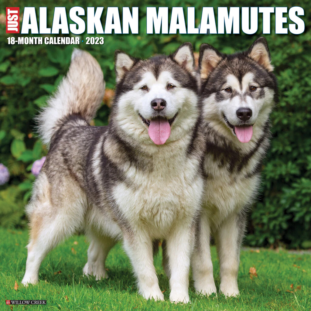 Just Alaskan Malamutes 2023 Wall Calendar by Willow Creek Press (2022 ...