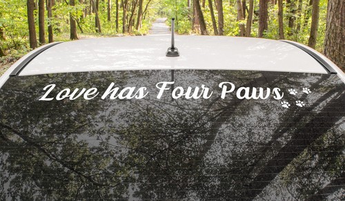LOVE HAS FOUR PAWS DOG PAWPRINT DECAL/STICKER HUGE 1000mmx125mm BACK ...
