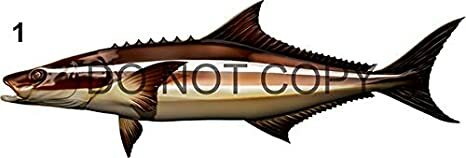 Cobia Beautiful Vinyl Sticker Fish Decals for Boat Car Vehicle Truck ...