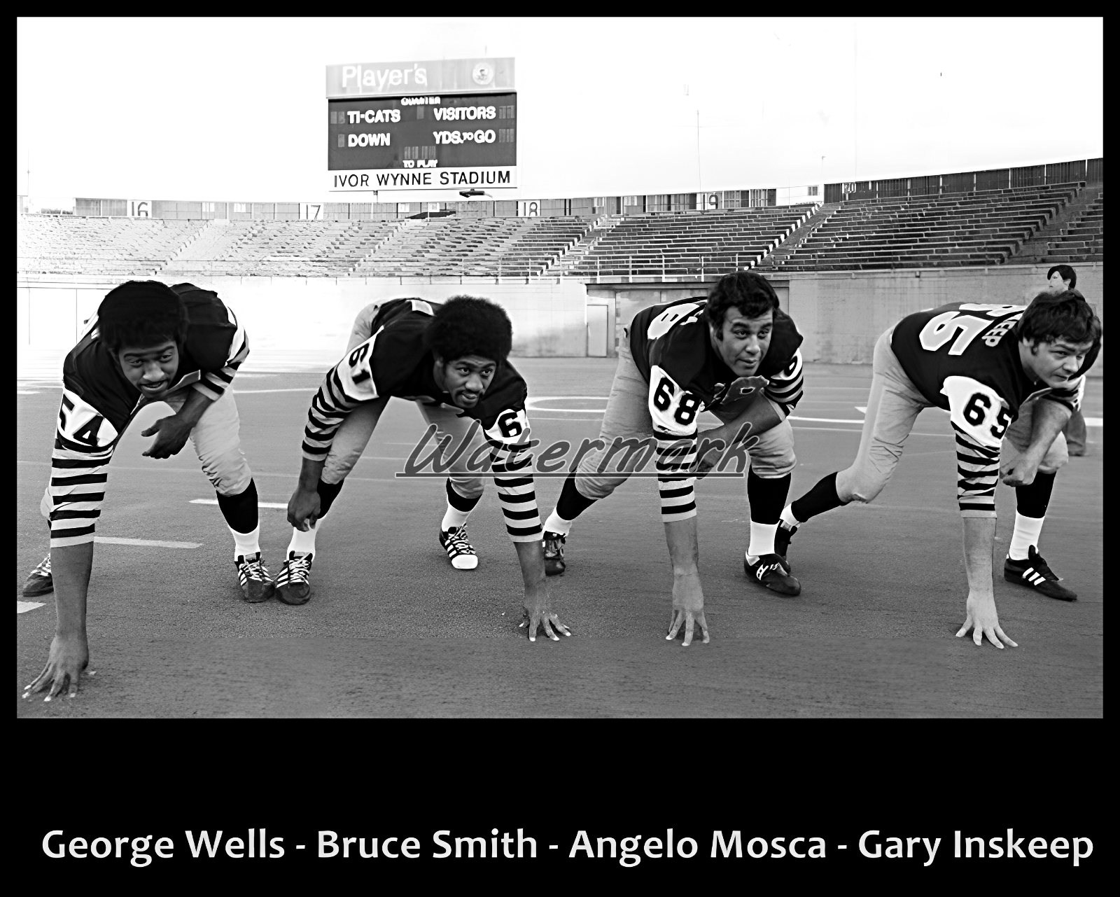 CFL 1972 Hamilton Tiger Cats Defense Angelo Mosca 8 X 10 Photo Picture ...