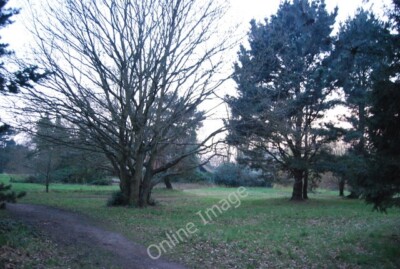 Photo 6x4 Trees, Hadley Green Barnet c2011 | eBay UK
