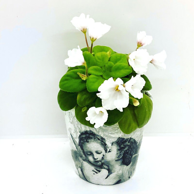 Hand decorated terracotta flower pot with angels | eBay Australia