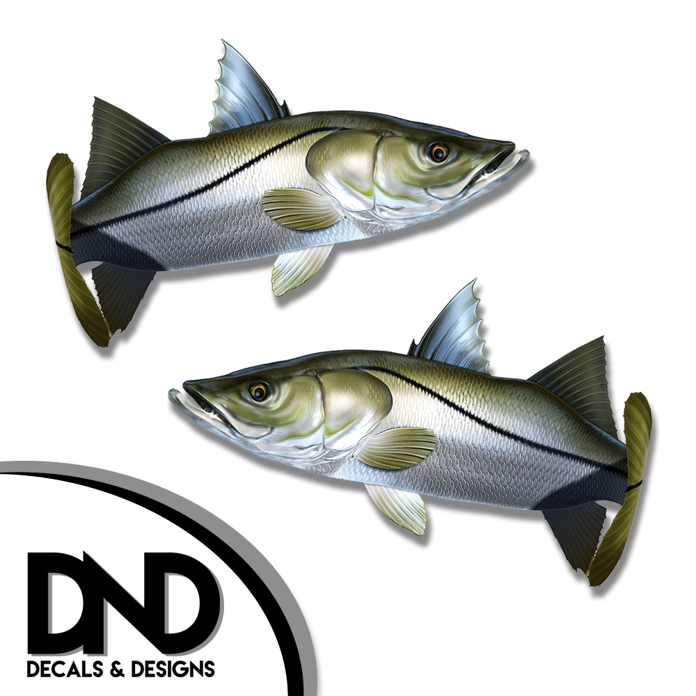 Snook - Fish Decal Fishing Hunting Tackle Box Bumper Sticker "3in SET ...