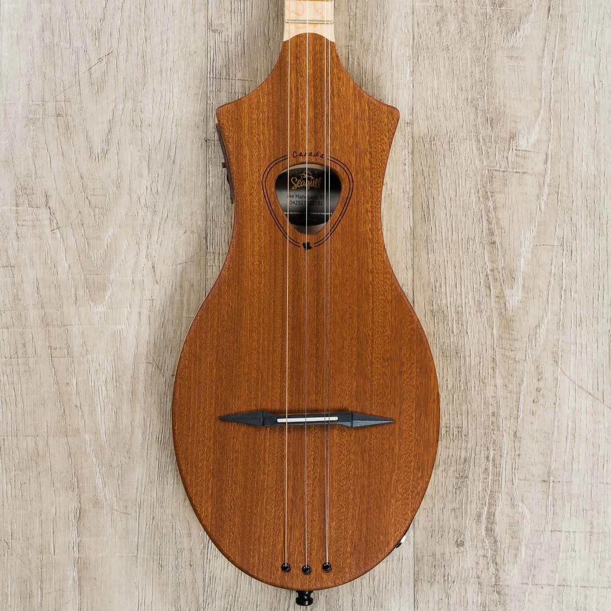 Dulcimer Guitar