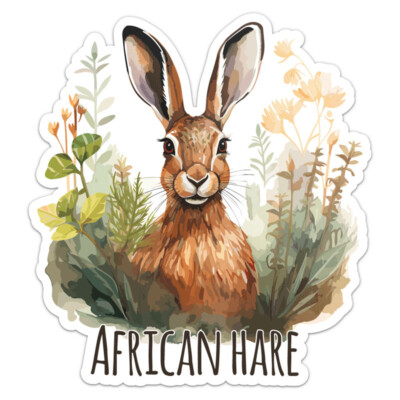 Watercolor African Hare Animal Vinyl Decal Car Bumper Sticker | eBay
